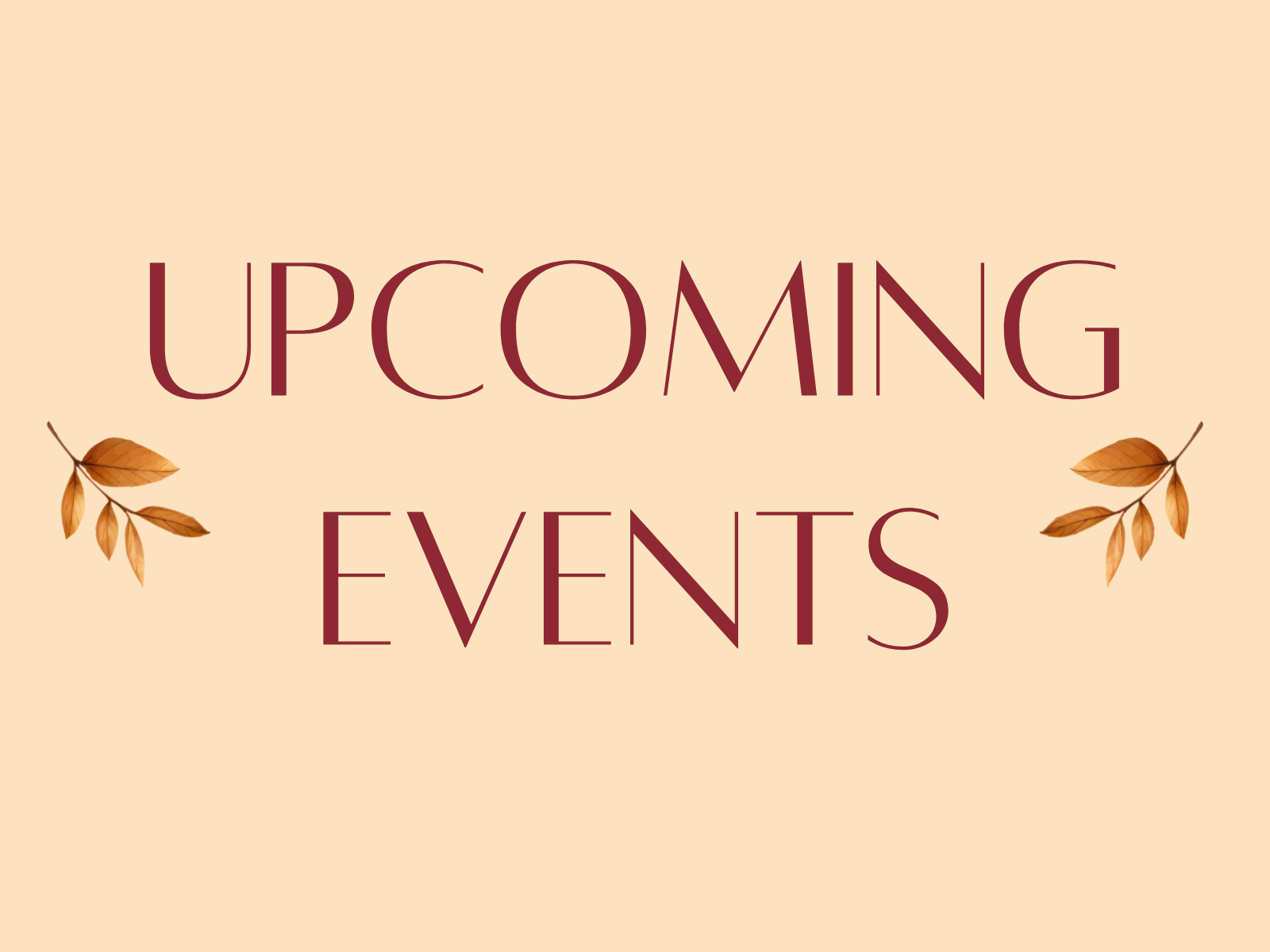 Upcoming Events | The Millicent Library
